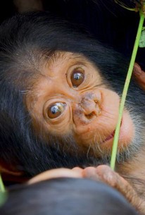 Growing Up Animal: Season 1, Episode 5 | Rotten Tomatoes