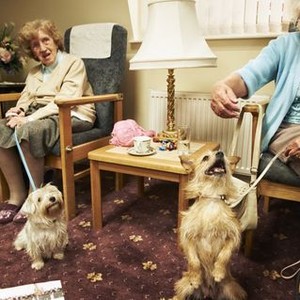 Kay Noone - Rotten Tomatoes