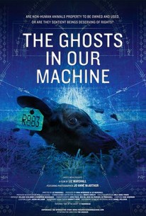 The Ghosts in Our Machine | Rotten Tomatoes
