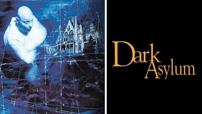 Dark Asylum The Darlings Of The Asylum: A Gripping New Dark Historical