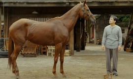 Ride On - Rotten Tomatoes