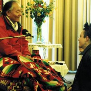 My Reincarnation - Rotten Tomatoes