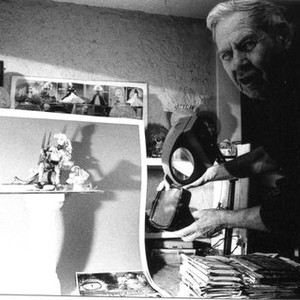 Magical Universe - Rotten Tomatoes