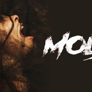 Mold - Rotten Tomatoes