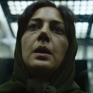 Holy Spider - Rotten Tomatoes