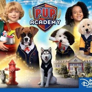 Pup Academy - Rotten Tomatoes