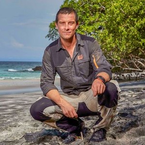 The Island - Rotten Tomatoes