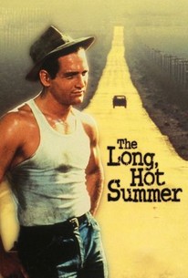 The Long, Hot Summer | Rotten Tomatoes