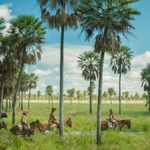 Zama - Rotten Tomatoes
