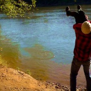 The Naked Carpenter - Rotten Tomatoes