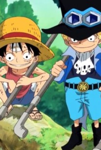 One Piece: Season 14, Episode 38 | Rotten Tomatoes