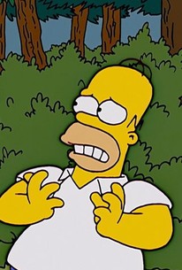 The Simpsons: Season 15, Episode 5 | Rotten Tomatoes