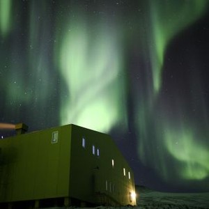 Antarctica: A Year on Ice - Rotten Tomatoes