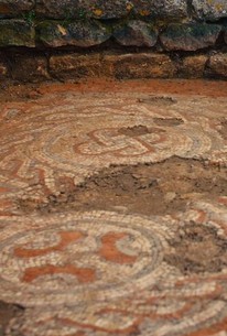 Digging for Britain: Season 11, Episode 6 | Rotten Tomatoes