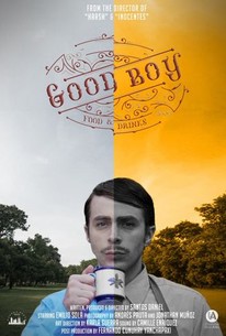 Good Boy | Rotten Tomatoes
