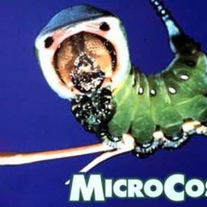 Microcosmos - Rotten Tomatoes