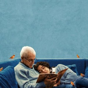 The Eternal Memory - Rotten Tomatoes