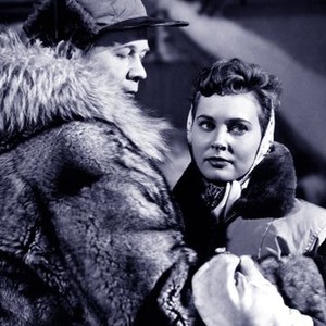 Arctic Flight - Rotten Tomatoes