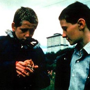 Ratcatcher - Rotten Tomatoes