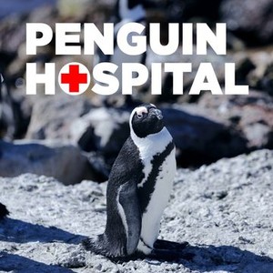 Penguin Hospital - Rotten Tomatoes