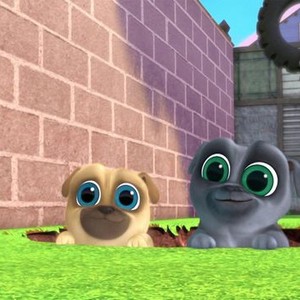 Puppy Dog Pals: Season 1, Episode 21 - Rotten Tomatoes