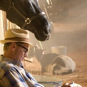 Ruffian - Rotten Tomatoes