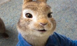 Peter Rabbit 2: The Runaway - Rotten Tomatoes