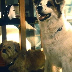 Little Heroes - Rotten Tomatoes