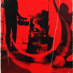 Be My Cat: A Film for Anne (2015) - Rotten Tomatoes