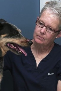 The Hatcher Family Dairy: Milk'n It!: Season 1, Episode 5 | Rotten Tomatoes