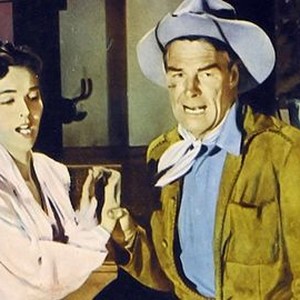 Riding Shotgun - Rotten Tomatoes