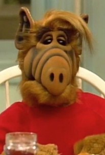 ALF: Season 4, Episode 7 - Rotten Tomatoes