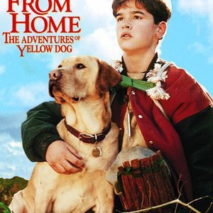 Far From Home: The Adventures of Yellow Dog - Rotten Tomatoes