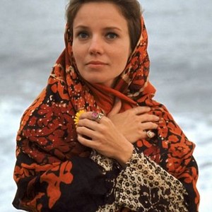 The Last Run - Rotten Tomatoes