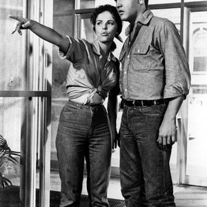 Anne Helm - Rotten Tomatoes