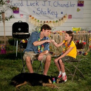 I Heart Shakey - Rotten Tomatoes