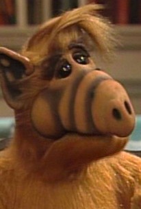 ALF: Season 4, Episode 24 - Rotten Tomatoes