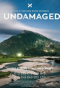 The Undamaged | Rotten Tomatoes