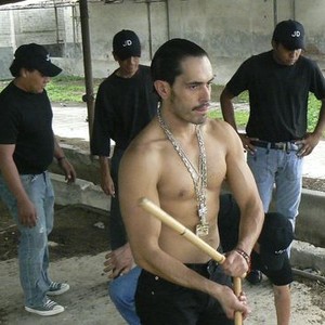 Los Sanguinarios Del M1 - Rotten Tomatoes