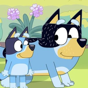 Bluey: Season 3, Episode 12 - Rotten Tomatoes