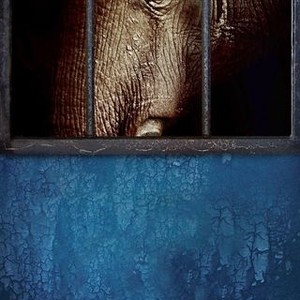 Tyke Elephant Outlaw - Rotten Tomatoes