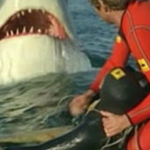 Deep Blood - Rotten Tomatoes