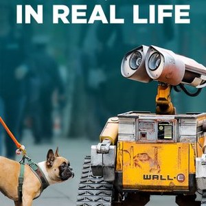 Pixar in Real Life - Rotten Tomatoes