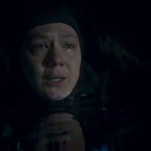 The Dive - Rotten Tomatoes