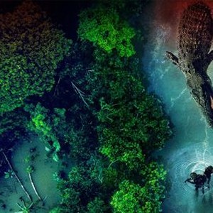 Saltwater: The Battle for Ramree Island - Rotten Tomatoes