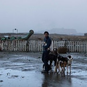 Dogman - Rotten Tomatoes