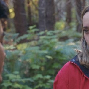 Evergreen - Rotten Tomatoes