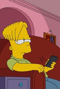 The Simpsons: Season 27, Episode 9 - Rotten Tomatoes