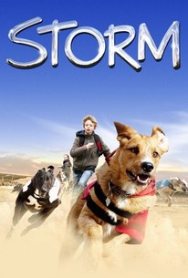 Storm | Rotten Tomatoes