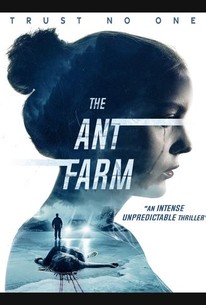 The Ant Farm | Rotten Tomatoes